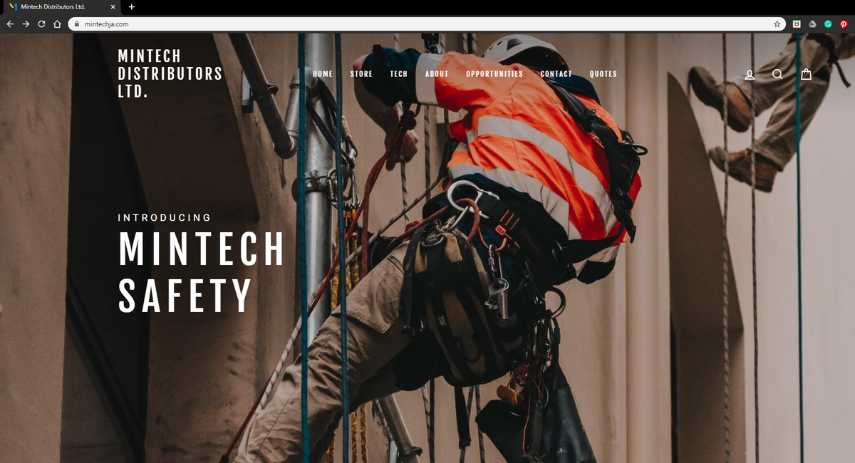 Products – Mintech.